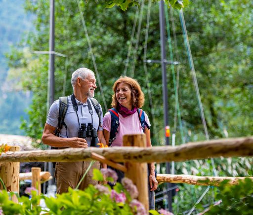 How to improve your health and increase your lifespan! - Safcol